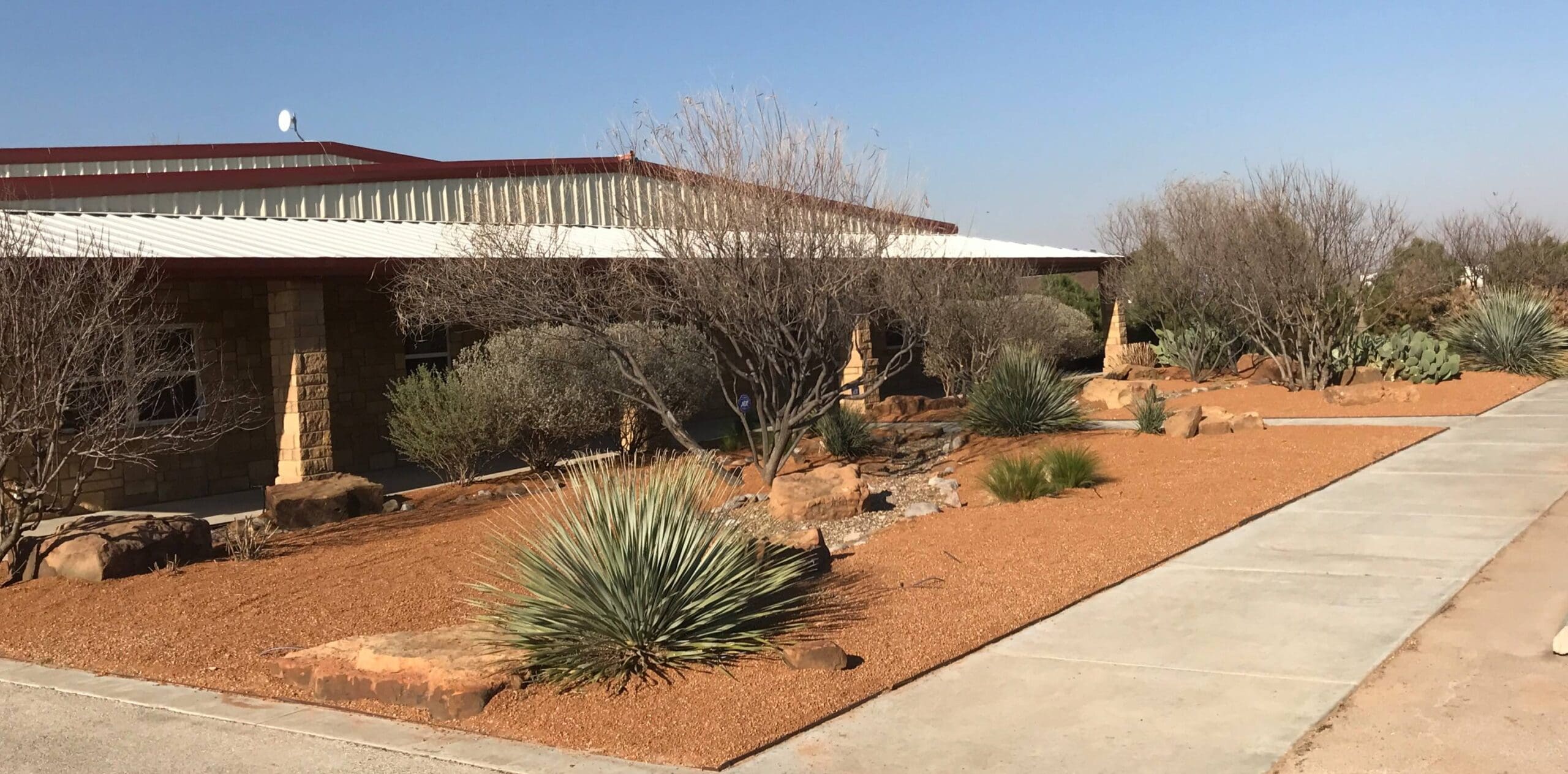 Xeriscape: The Solution for Water-Scarcity Landscapes - Eternal Tree ...